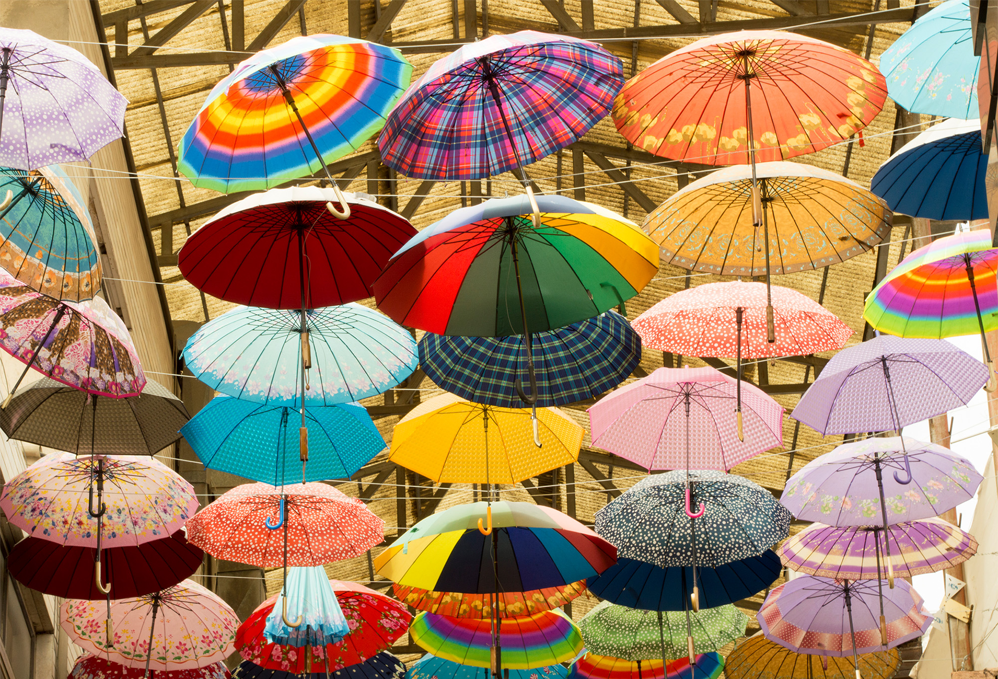 Health & Protection Insurance | Halcyon HealthCare Ltd | London ...